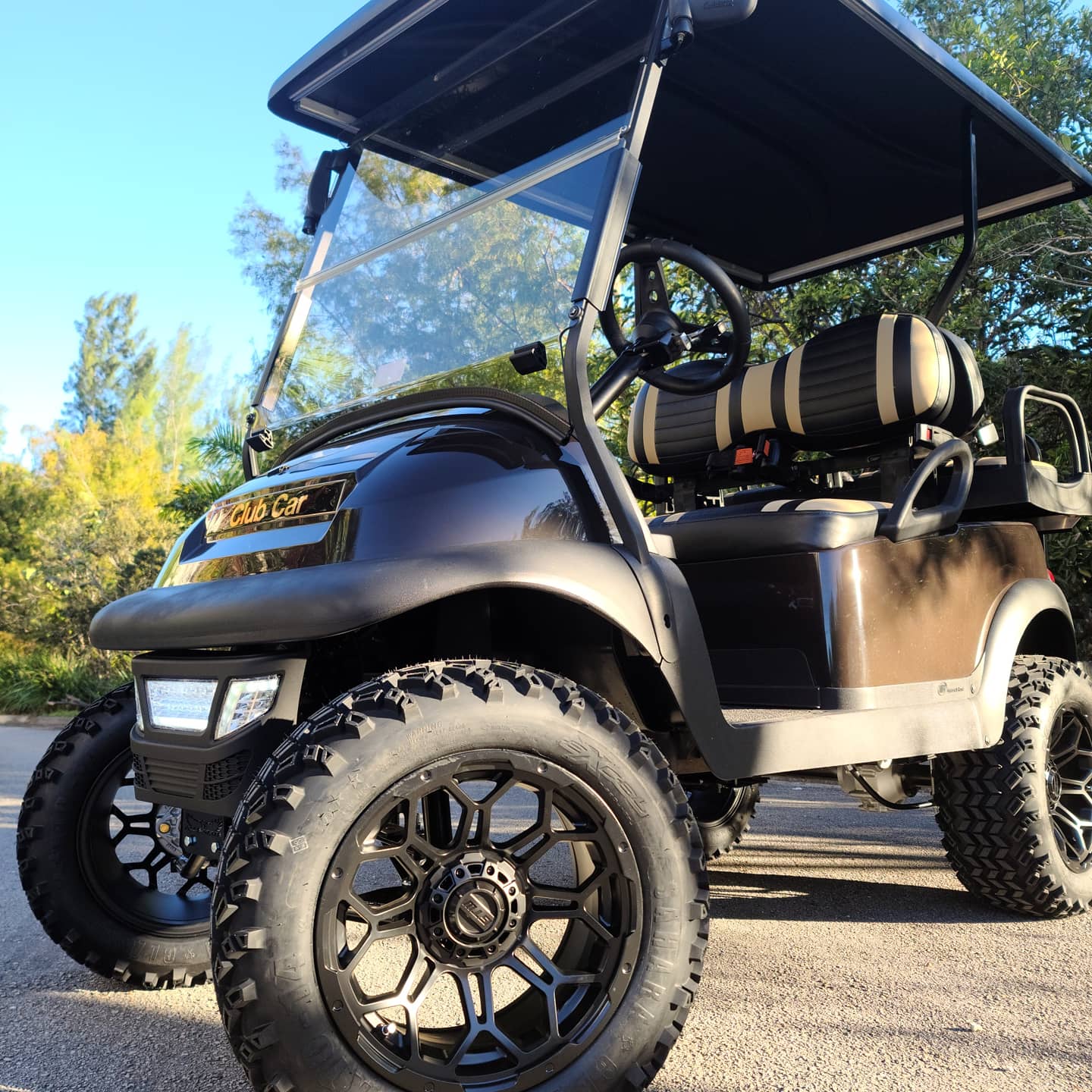 Custom Electric Golf Carts - The Cart Collection